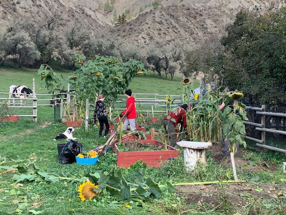 Past Events – Eden’s Way Farm Sanctuary
